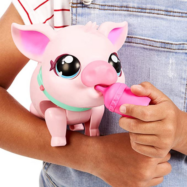 Little live pets | My Pet Pig - Felix Online