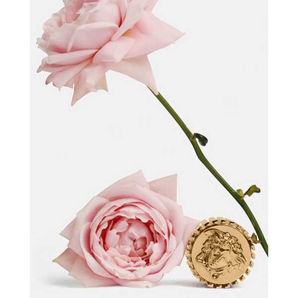 Versace Éclat De Rose Eau de Parfum - Felix Online