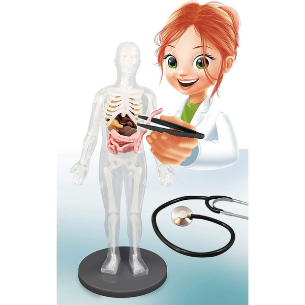 Buki | Modelo del Cuerpo Humano - Felix Online
