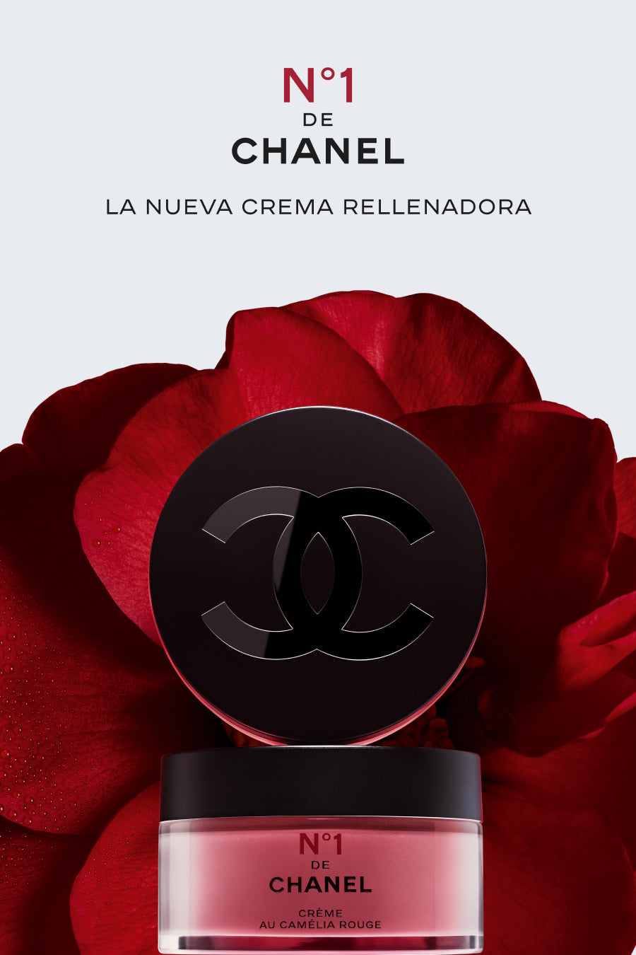 chanel - Felix Online