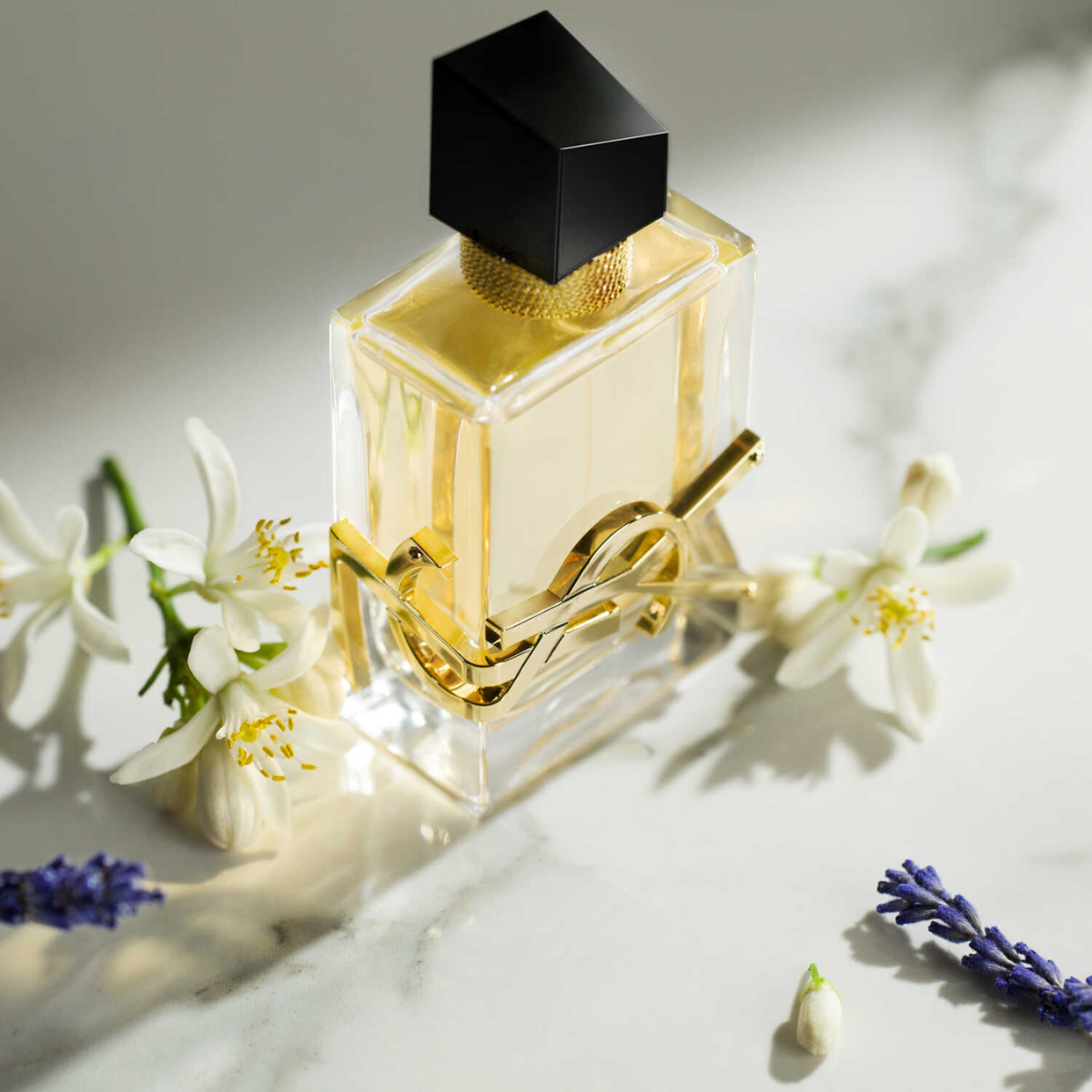 Yves Saint Laurent Libre Eau de Parfum - Felix Online